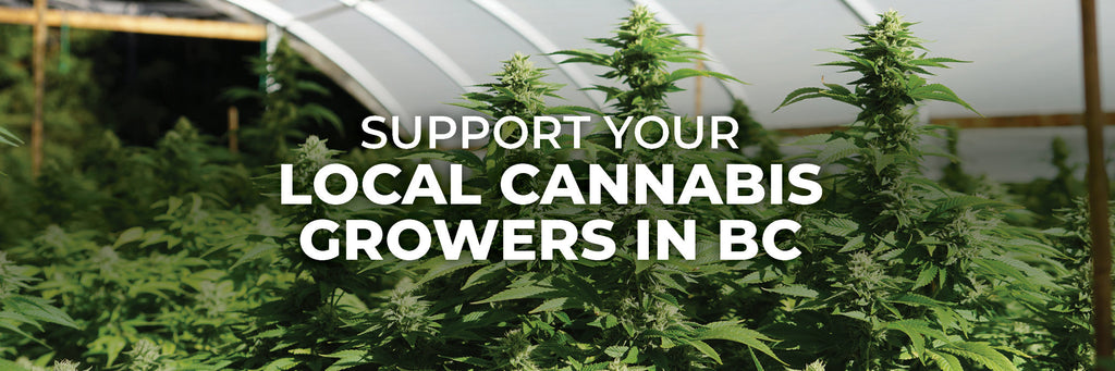 Support your local cannabis growers in BC — BC Cannabis Stores
