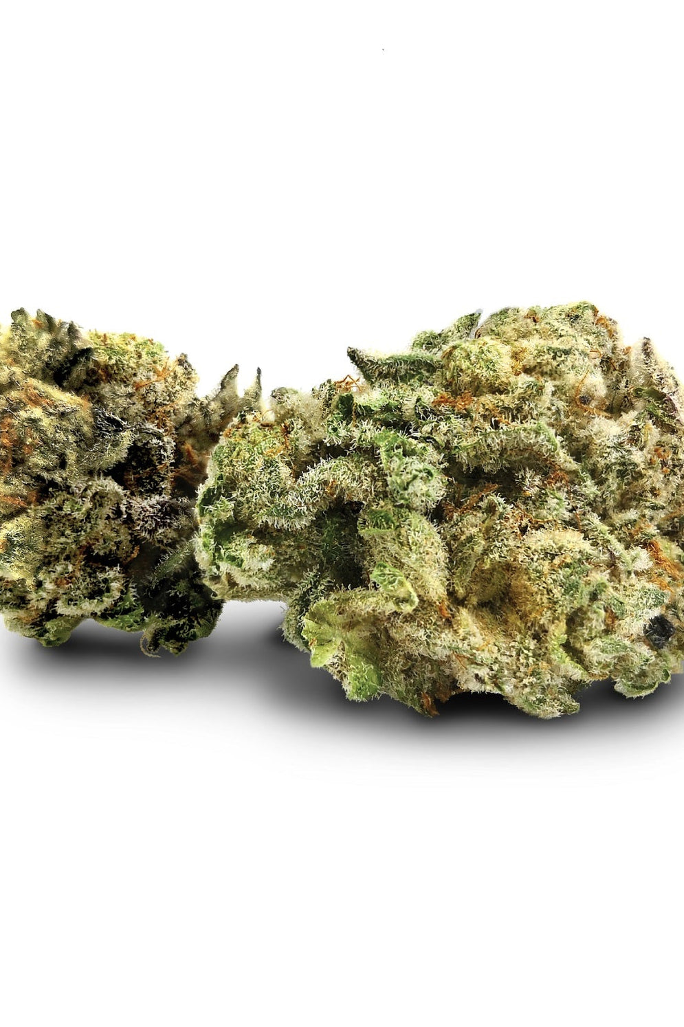 BC Cannabis Stores